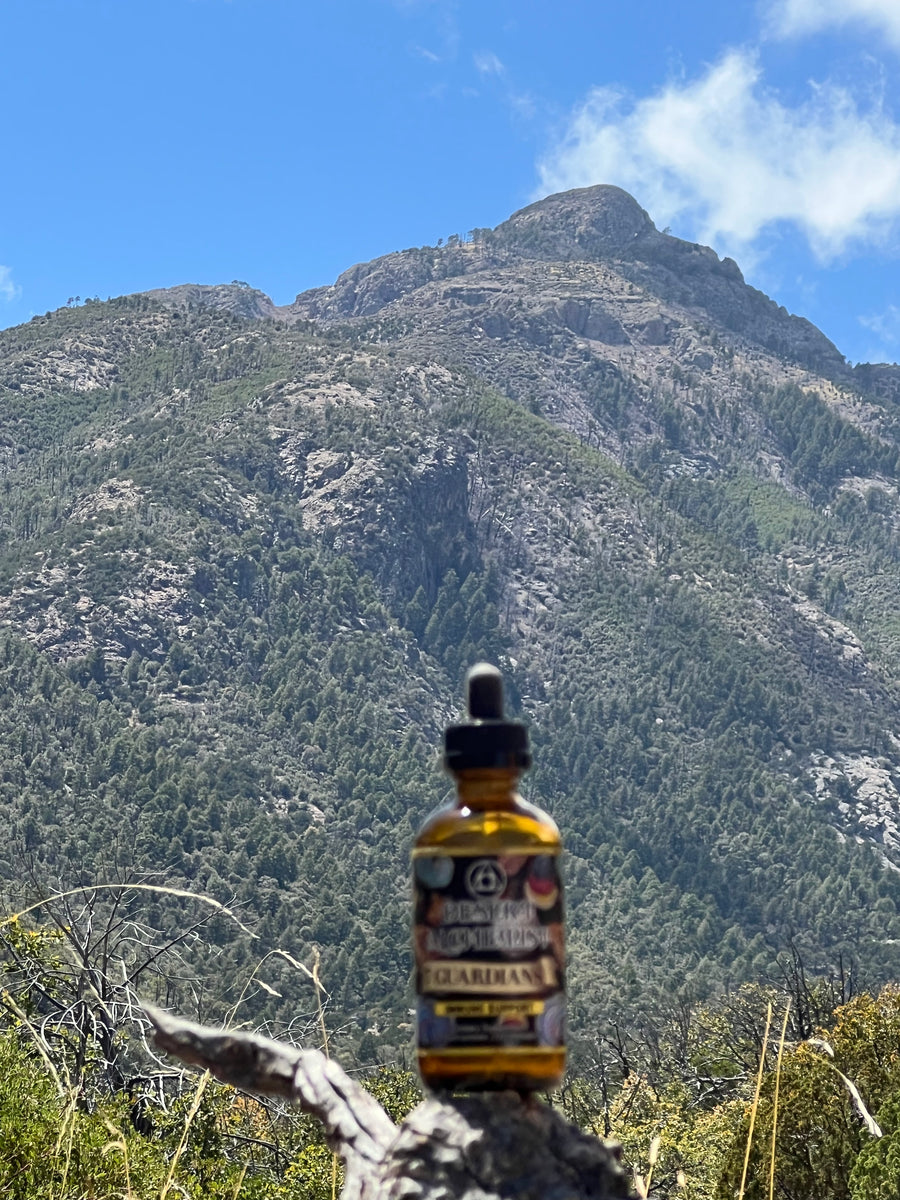 7 Guardians – Desert Alchemist