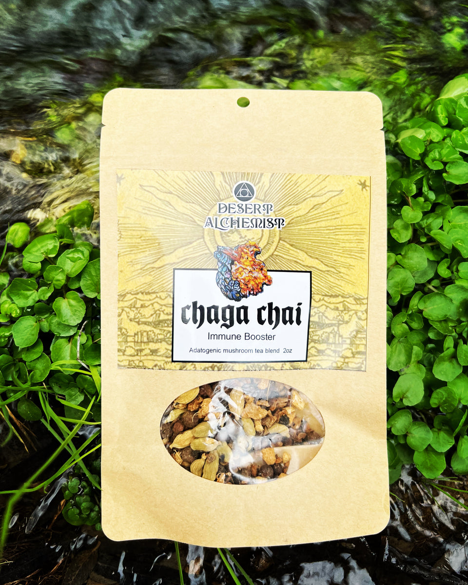Chaga Chai – Desert Alchemist